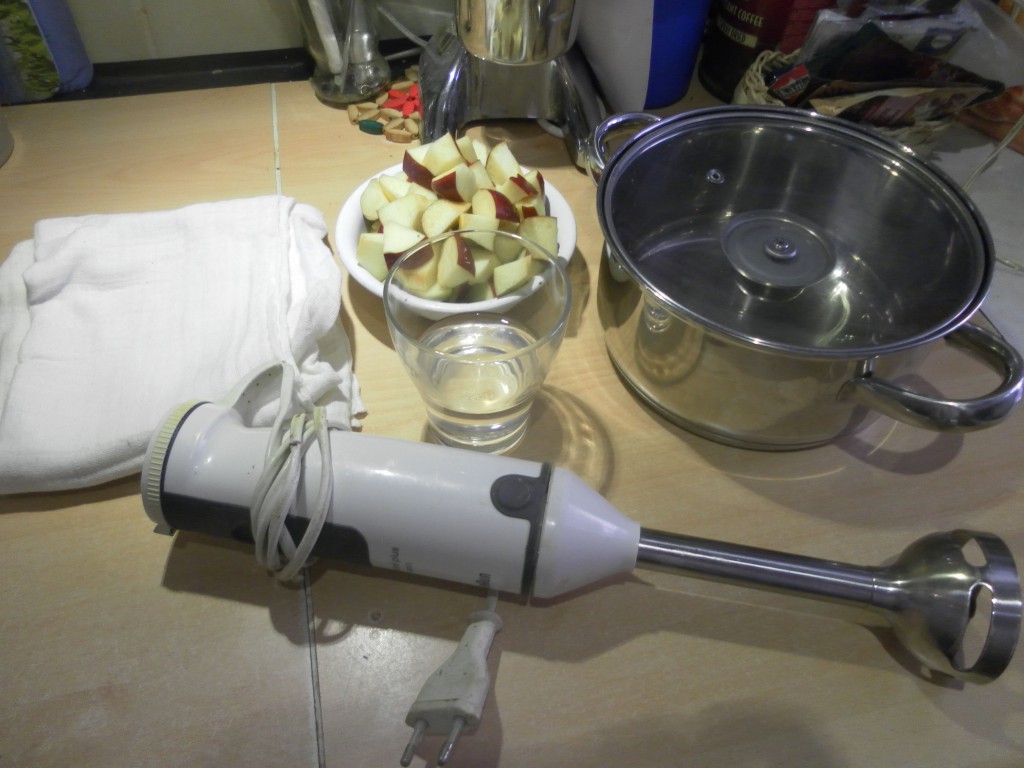 Obst entsaften ohne Entsafter – Entsafter Ratgeber