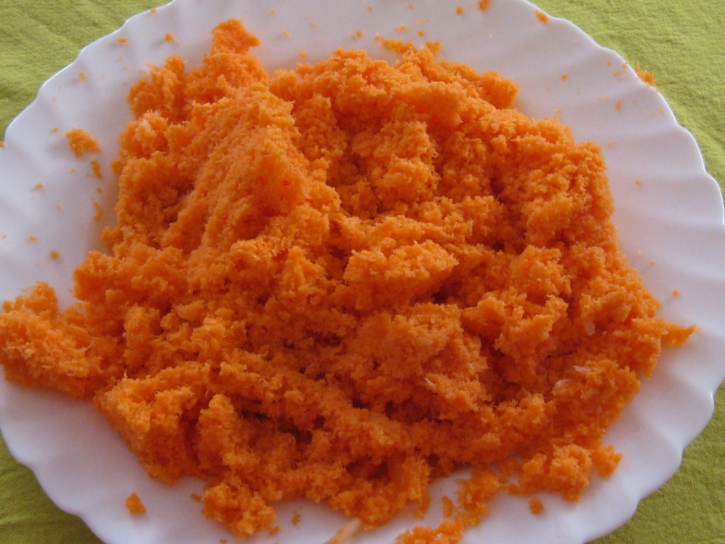 Trester und Zentrifugen erklärt – Entsafter Ratgeber